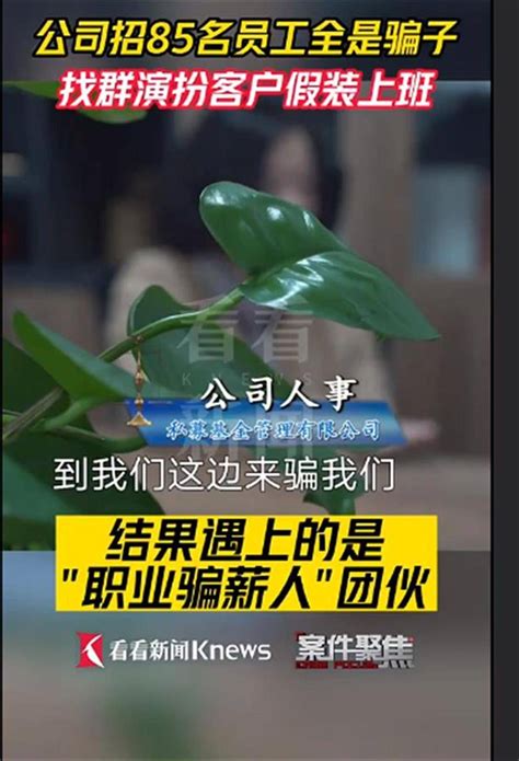 打工新鲜事儿｜85名员工全是职业骗薪人！用人漏洞如何补上？公司中小企业销售