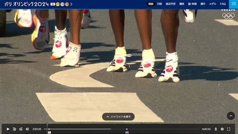 パリ五輪女子マラソン 鳥見って・・大人のポケモン2019