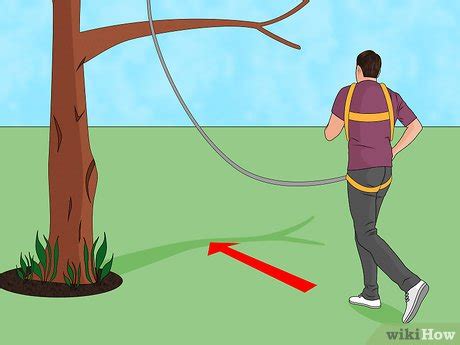 How To Climb A Tree Quickly Steps With Pictures WikiHow Fitness