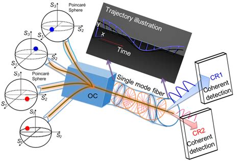 Explore Polarization Freedom To Support High Speed And Spectral Efficient Data Transmission