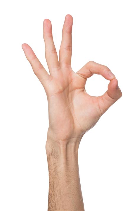 Agree Sign Language