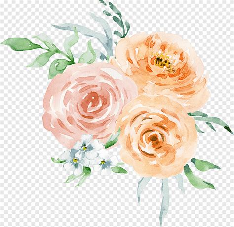 핑크 꽃 일러스트 정원 장미 꽃 무늬 디자인 수채화 꽃 수채화 꽃 수채화 그림 그림 꽃꽂이 사진술 Png Pngegg