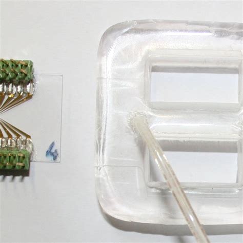 A View Of Pdms Substrate With Fluidic Connections And Glass With