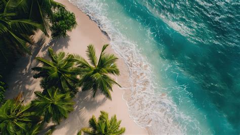 Beach Wallpaper 4k Ocean Seaside