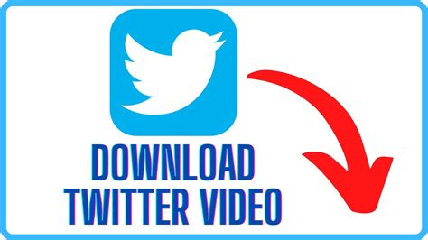 How To Download Videos From Twitter On PC (And Mac) - YouTube