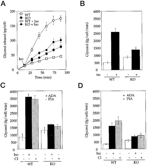 In Vitro Lipolysis Assays Of Rii Mutant And Wild Type Wat A Glycerol
