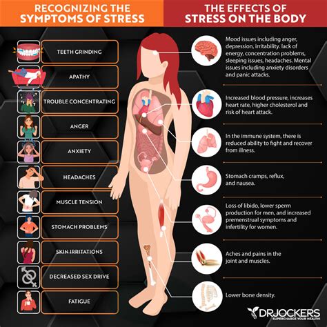 Stomach Cancer Symptoms Causes And Support Strategies Ōmura Health