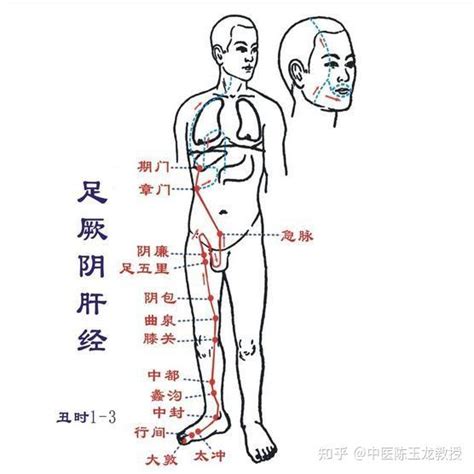 千古疏肝第一方横扫抑郁头痛胃病便秘送给天下发愁人 知乎