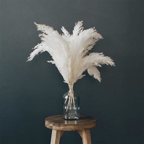 White Pampas Grass 10 Pampas Stems Of Fluffy Pampas Grass For Wedding