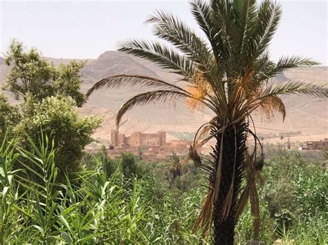 Marrakech Overnight Sahara Tour To Zagora And Ait Ben Haddou Travel
