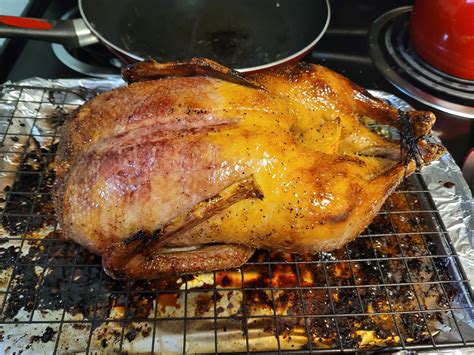 I Made A Starlight Dodo From The Official Ffxiv Cookbook For Xmas