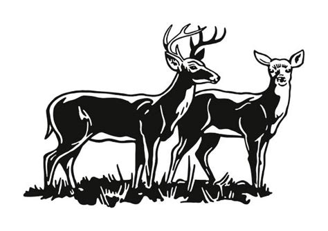 Black And White Deer Illustrations Royalty Free Vector Graphics And Clip