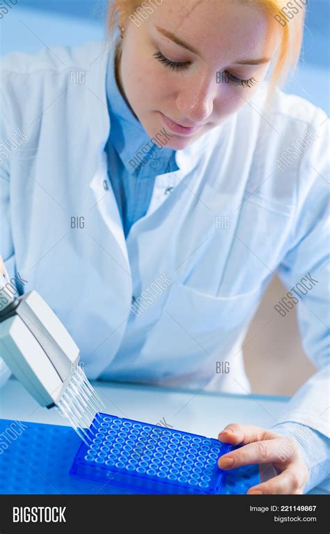 Using A Multi Channel Pipette For Pcr Processing In Microbiological Laboratory Image Stock