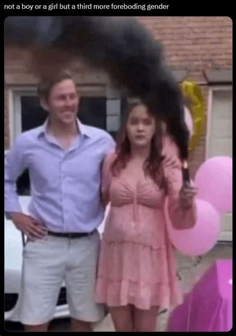 Imagine Having A Gender Reveal And Its King Paimon R Funny