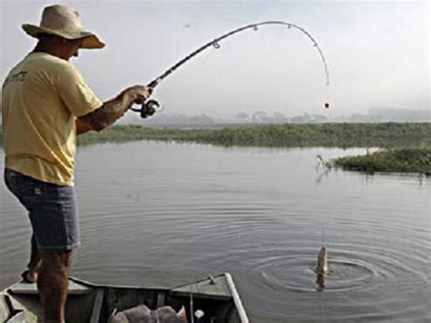 Pesca Nos Rios De MS Reabre Cota Reduzida De Captura Para Pescadores Amadores Dourados News