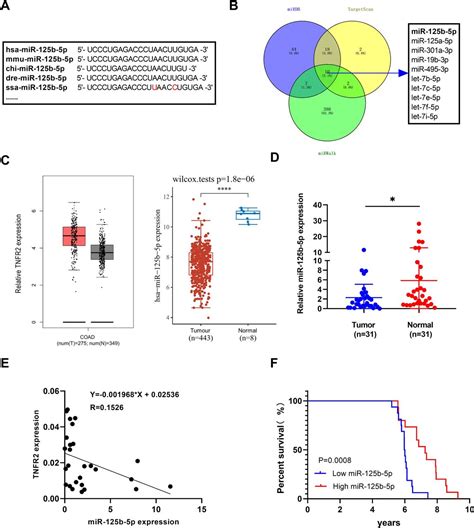 MiR 125b 5p Modulates The Function Of Regulatory T Cells In Tumor