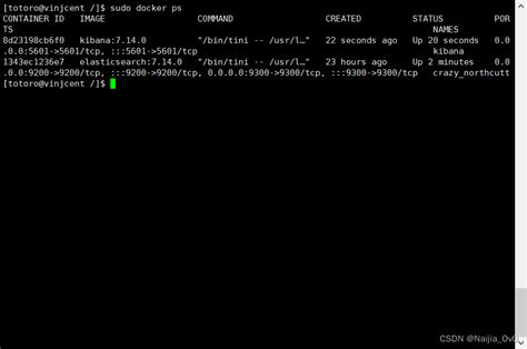 Elasticsearch（二）【kibana】kibana官网 Csdn博客