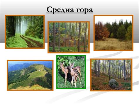 задбалкански котловини витоша и средна гора