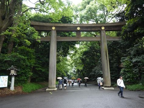だまけん文化センター 明治神宮と菖蒲