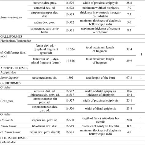 Taxonomic List Collection Numbers And Measurements Mm Of The Avian Download Table