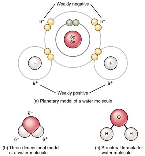 Ionic Covalent Vs Metallic Bonds Difference And Comparison