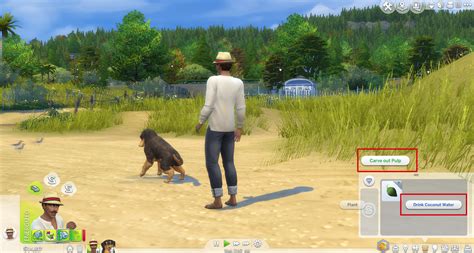 Mod The Sims Harvestable Coconut