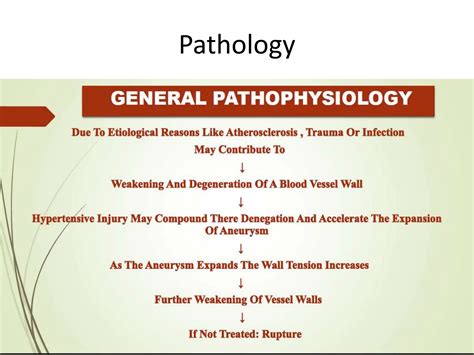 Aneurysm Pathology Pptx Fromrobbins Sss Ppt