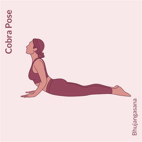 Premium Vector Cobra Pose Young Woman Practicing Yoga Pose Woman