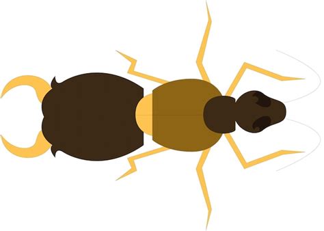 Termiteidentification Vectors And Illustrations For Free Download Freepik