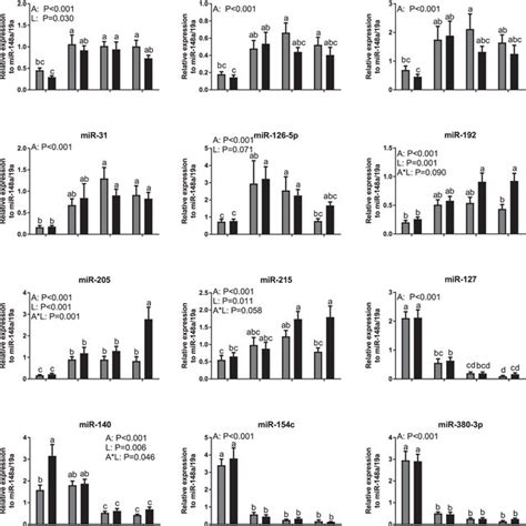 Plasma Mirna Abundance Mirna Detection Analysis A And The Expression