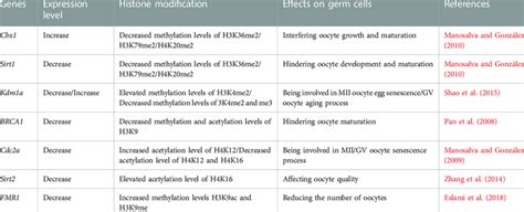 Effects Of Histone Modifications On Germ Cells Download Scientific