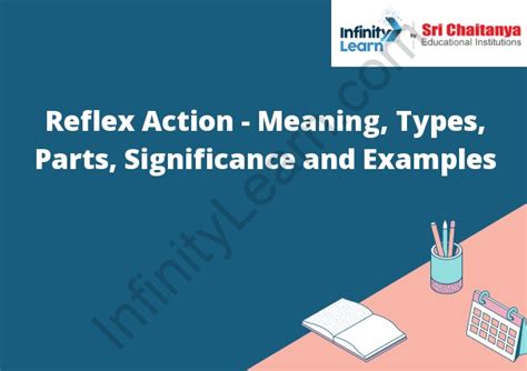 Reflex Action Meaning Types Parts Significance And Examples