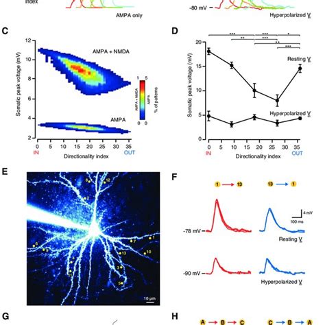 Dendritic Discrimination Of Complex Input Sequences A Random