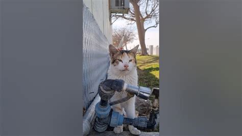 ചൂടുവെള്ളം കിട്ടുമോ കുടിക്കാൻ ഇവിടെ തണുപ്പാണ്cate Video Shot Youtube