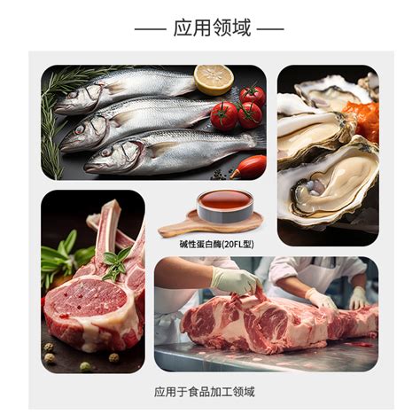 夏盛液体食品级碱性蛋白酶20万酶活食品蛋白水解专用fdy 2241