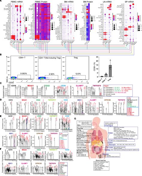 Figure 1 From Single Cell Analysis Of Target Antigens Of Car T Reveals