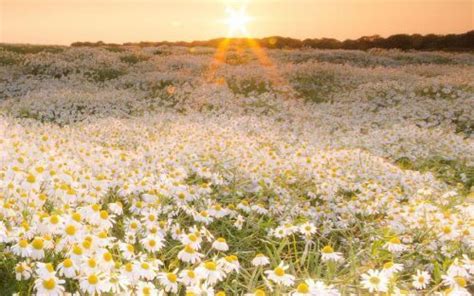 Spit Princess Internet Whore — Bruised Bodies Chapter 7 Levi