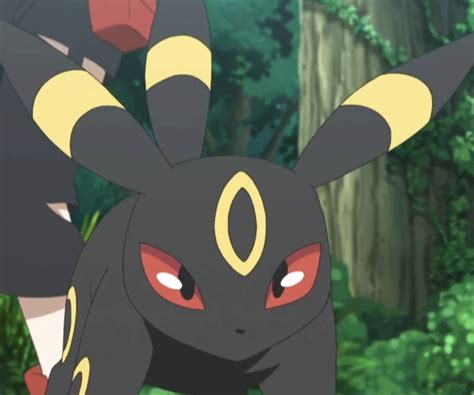 💧~nɛssa~💧 On Twitter Zoroark 💙