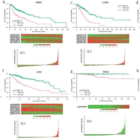 construction of the probe based prognostic classifier a flowchart of