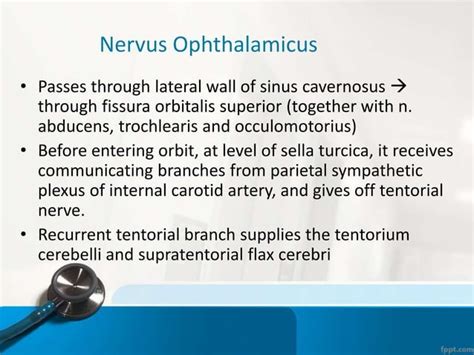 Branches Of Trigeminal Nerve PPTX