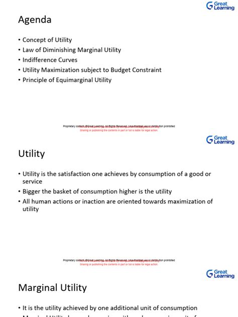 Theory Of Consumer Behavior Pdf Utility Marginal Utility