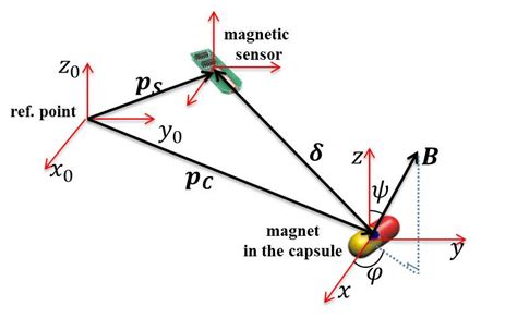 Coordinate Frame Of A Magnet For Wbc Localization Download