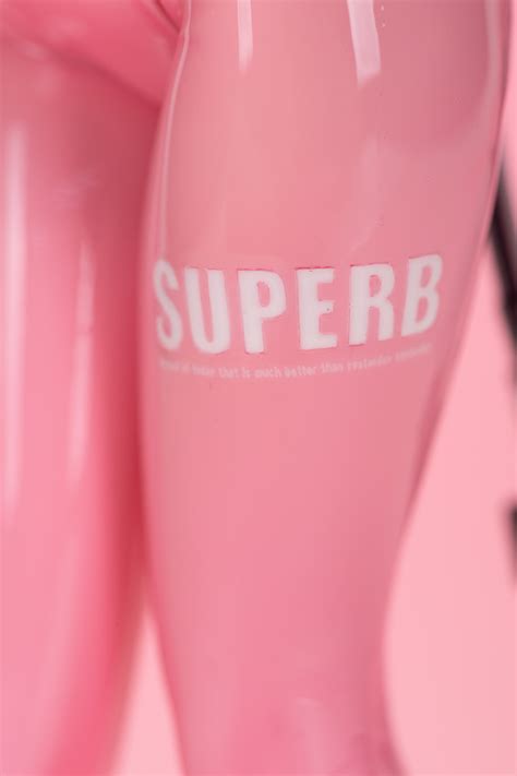 Garage Kit Nikke Alice Figure Cerberus Project