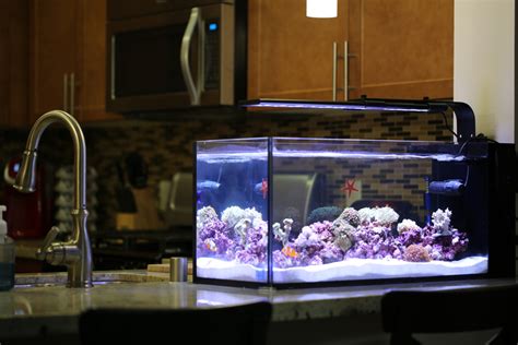 Innovative Marine Officially Launch NUVO Fusion Peninsula Tanks With A