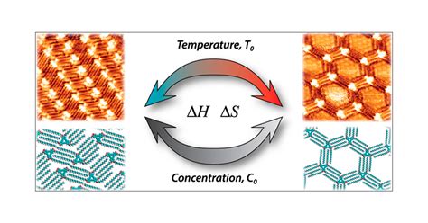 Temperature Induced Structural Phase Transitions In A Two Dimensional Self Assembled Network