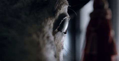 Extreme Close Up Everything You Need To Know Nfi