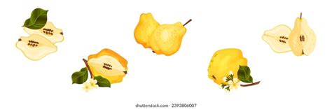Diseños Png De Quince Para Camisetas And Merch
