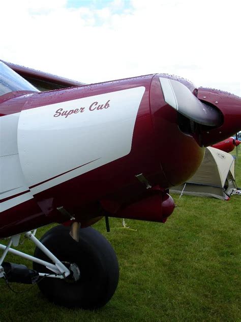 Cub Nose Supercub Org