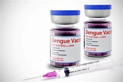 Dengue en Salta escasa circulación del mosquito en la provincia y ya