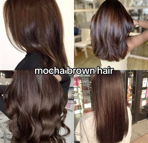 Mocha Brown Hair Mocha Brown Hair Mocha Color Hair Mocha Hair